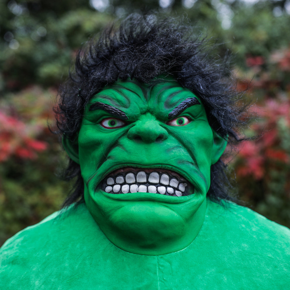 The Incredible Bulk Costume - Premium Chub Suit® – Chubsuit.com